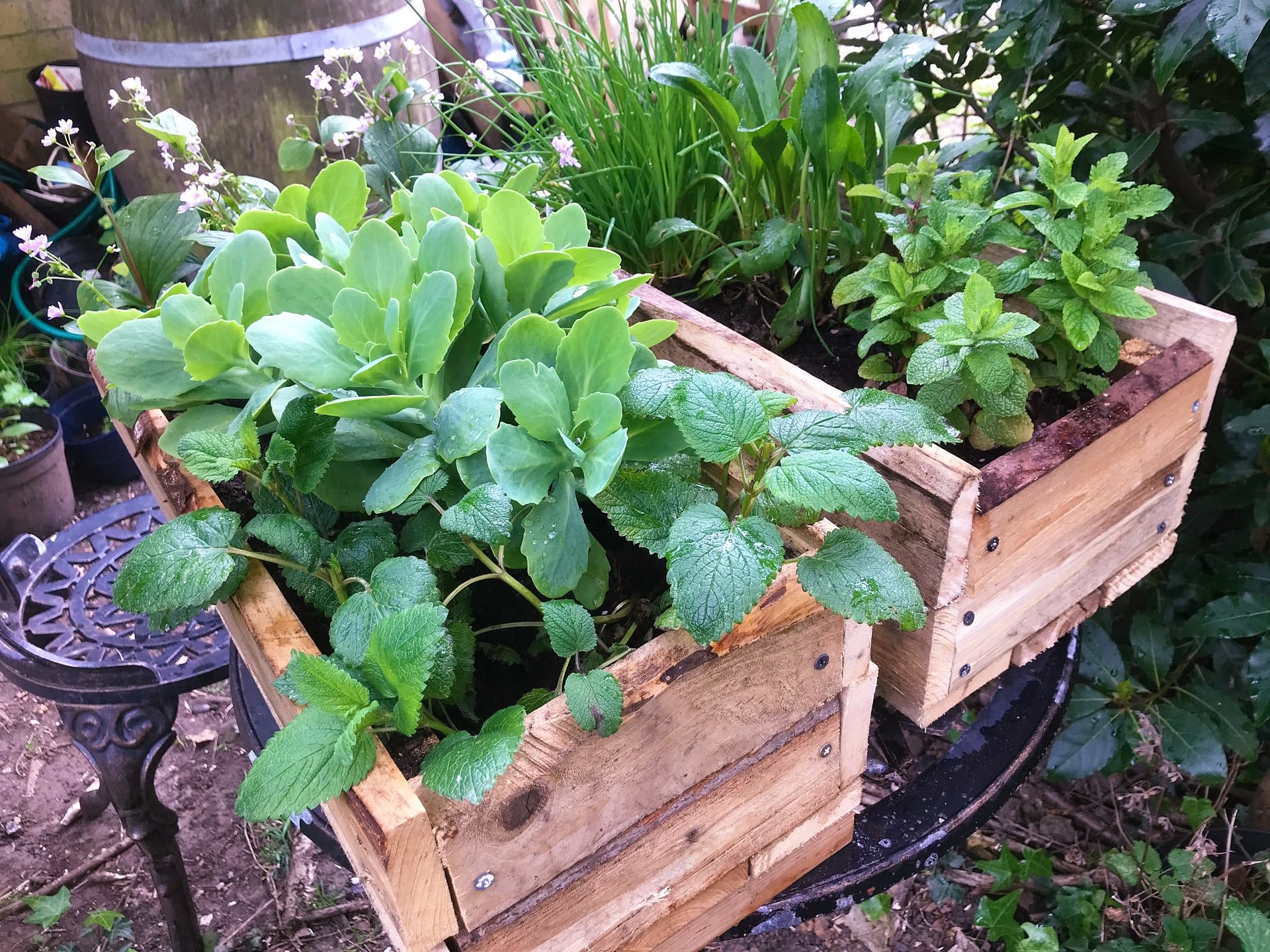Raised Herb Planter Pallet